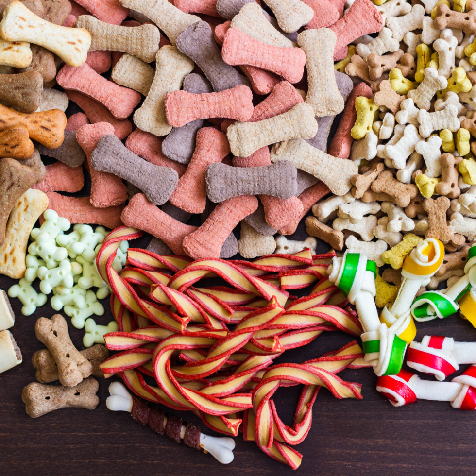 Our Favorite D.I.Y. Dog Treat Recipes - Paws & Claws Pet Sitting and ...