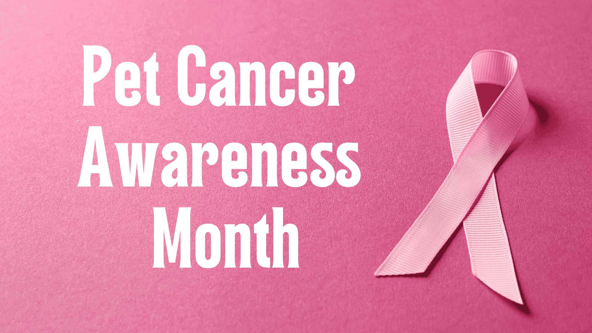 What Is Pet Cancer? - Paws & Claws Pet Sitting and Dog Walking